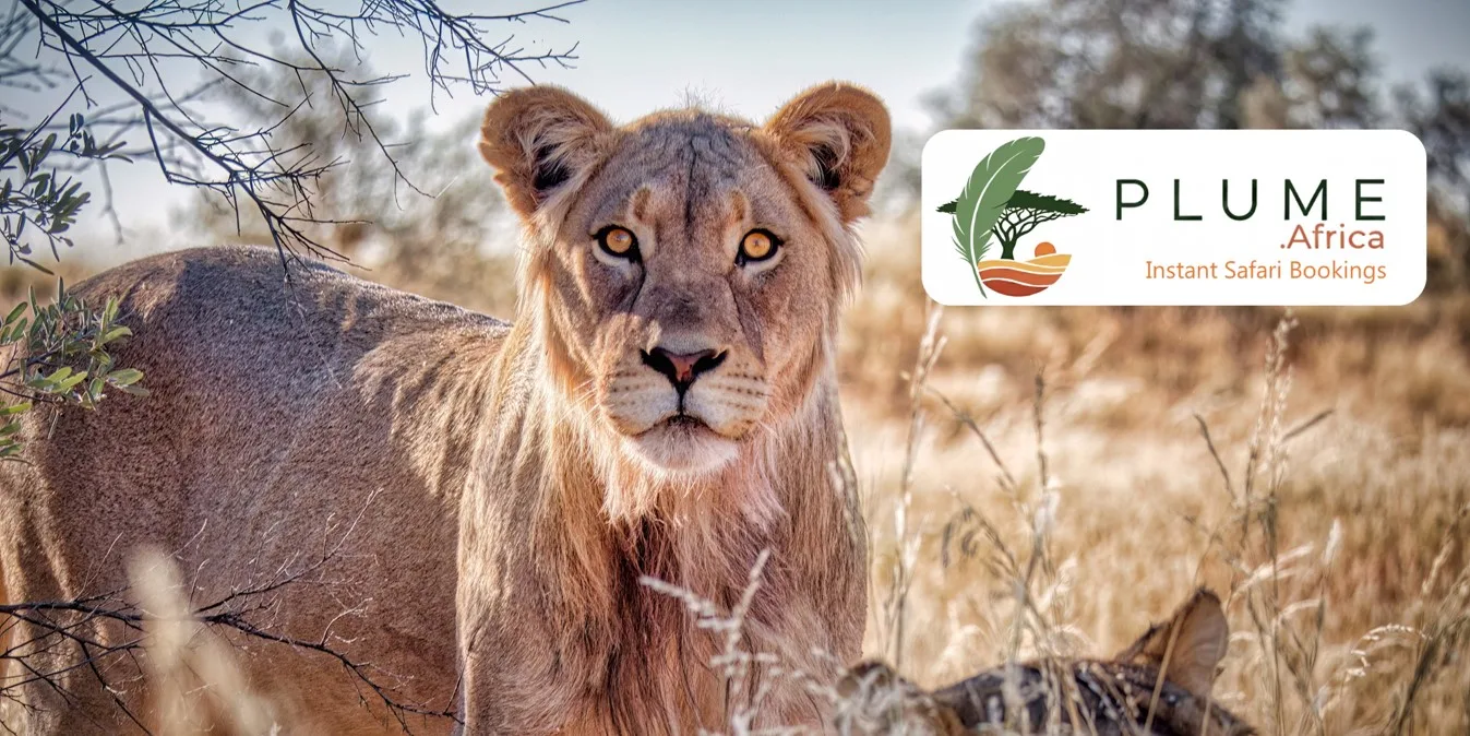 Plume Africa | Instant lodge safaris, Namibia & South Africa